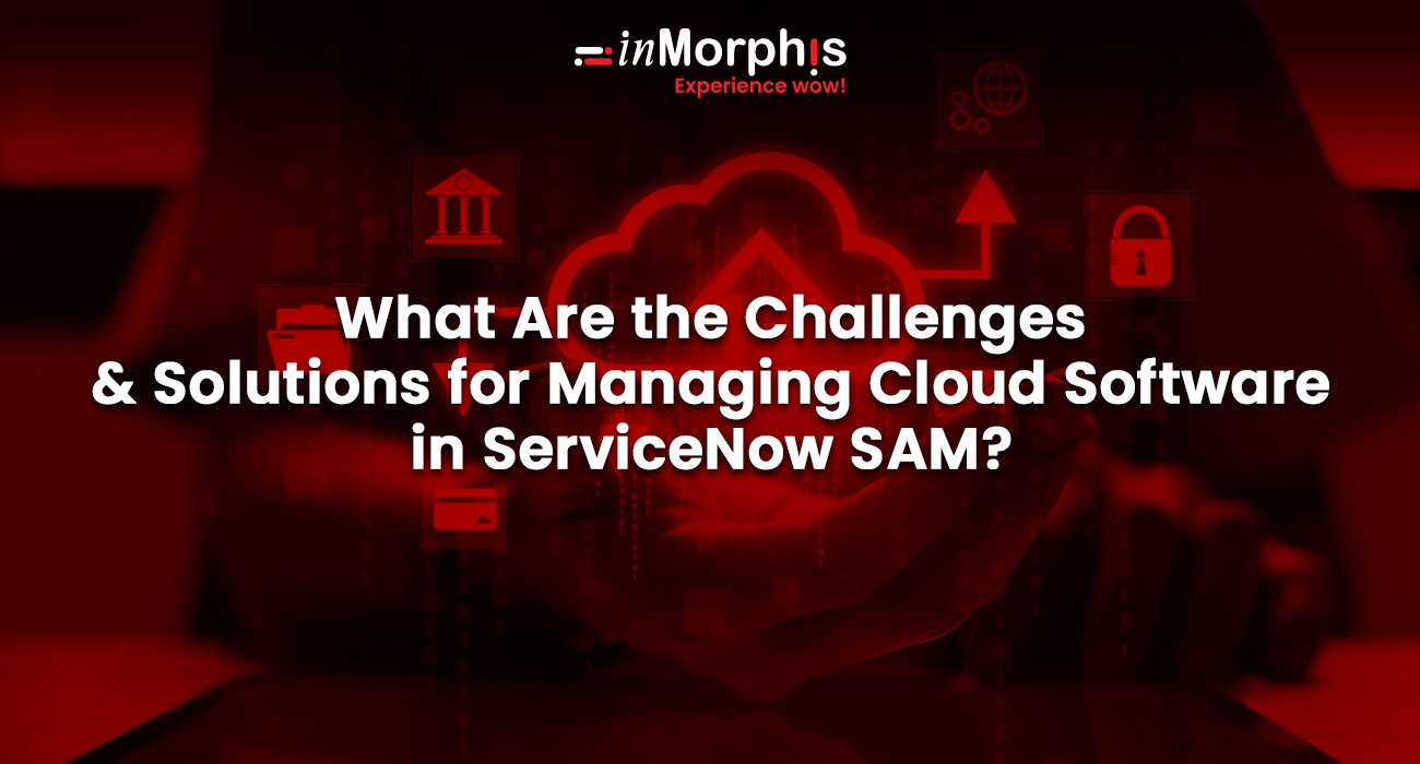 Managing Cloud Software Challenges in ServiceNow SAM